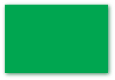 Blank Rectangle Labels in Fluorescent Colors | Ideal for Eye-Catching ...