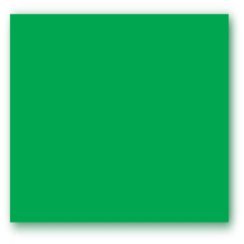 Blank Rectangle Labels - Fluorescent Colors - AMPAC