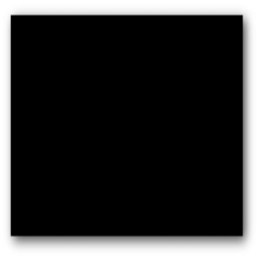 Blank Rectangle Labels - Standard Colors - AMPAC
